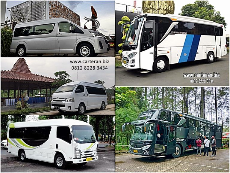 Carter Minibus, Rental Minibus, Sewa Bus Medium, dan Bus Pariwisata
